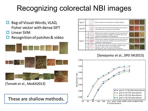 Computer Aided Colorectal Tumor Classification In Nbi Endoscopy Using