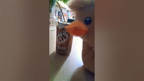 Oh Yeah Root Bear Youtube