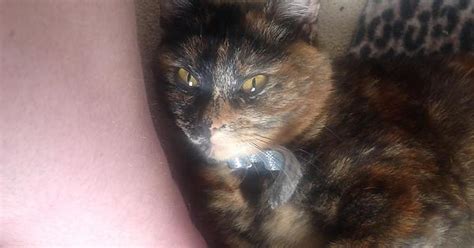 Spawn Of Satan Imgur