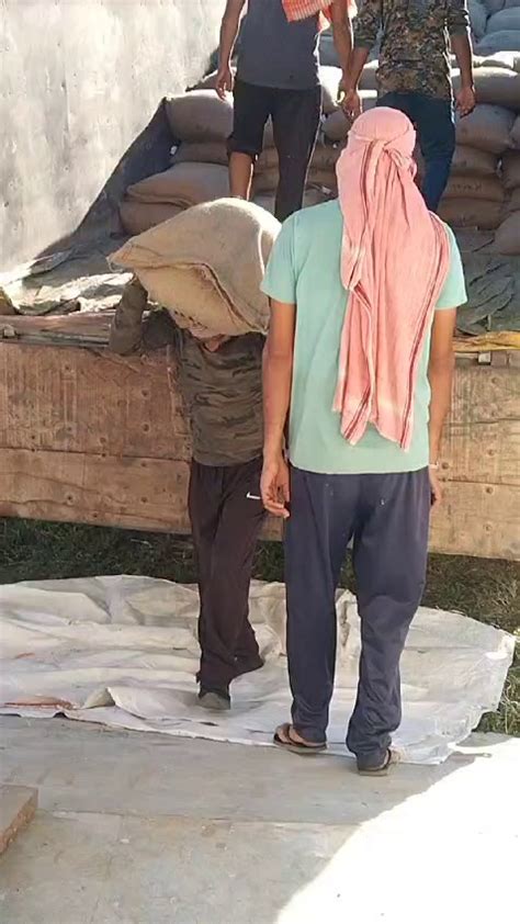 Sack Det Object Detection Dataset By Sackdetection