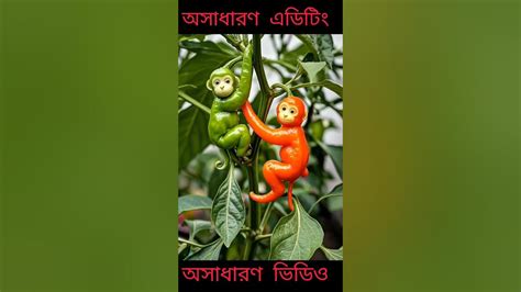 কার্টোন ভিডিও Foryou Automobile Duetsongs Facts Funny Lovesongs Youtube