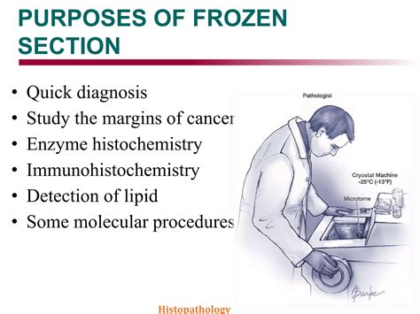 Lecture 2 Tissue Processing Ppt