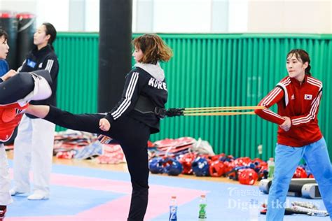 태권도신문