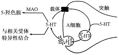 百度教育