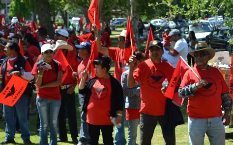 United Farm Workers Of America Nfwm