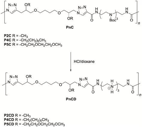 Structures Of N Boc Protected Polymers Pnc Prepared By Cuaac And