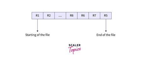 What Is Sequential File Organization In Dbms Scaler Topics