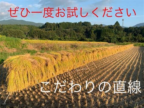 【未使用】好評お試し★熊本県産★こだわりの掛け干し新米★令和5年産★ひのひかり ヒノヒカリ 10kg★白米限定出品 えの落札情報詳細