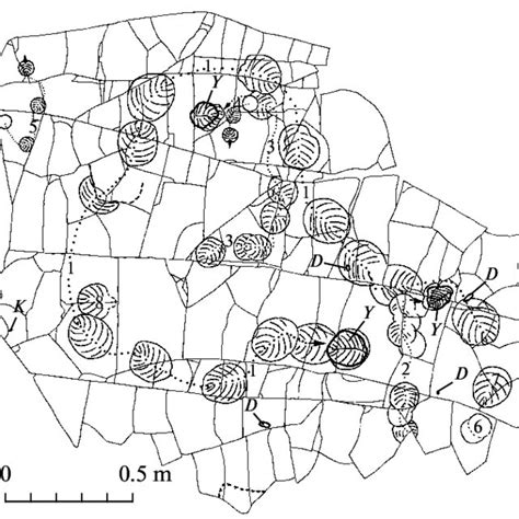 Scheme Of The Structure Of Isolated Elements Of Feeding Trace Trace