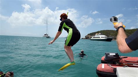 Reef Is Fine Hanson Says After Turning Up 1000km From Bleaching Sbs News