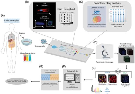 Lab‐on‐a‐chip Device Designed For Clinical Applications And Using Download Scientific Diagram
