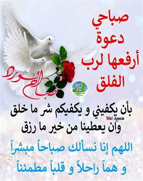 「صباح الخير بطايق」おしゃれまとめの人気アイデア｜pinterest｜ummohamed
