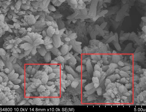Sem Image Of Concrete Researchgate