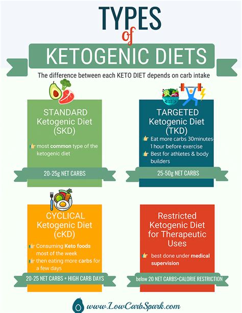 Complete Keto Diet Beginner Guide Everything You Need To Know Ketogenic Diet Keto Diet