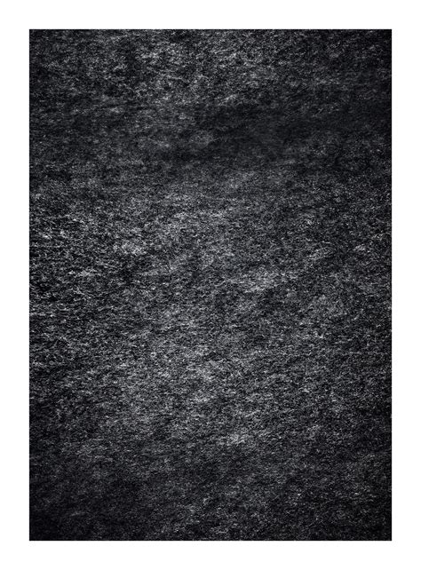 Gravity Fields Tom Fecht