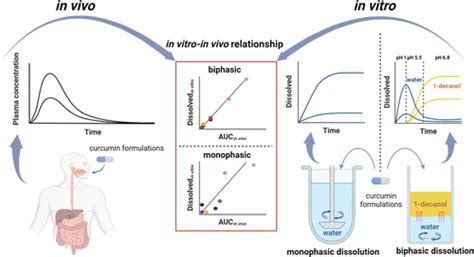 Novel Biphasic In Vitro Dissolution Method Correctly Predicts The Oral Bioavailability Of