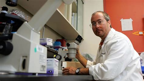 Ben Barres Trans Pioneer Who Helped Uncover How The Brain Is Wired Has Died