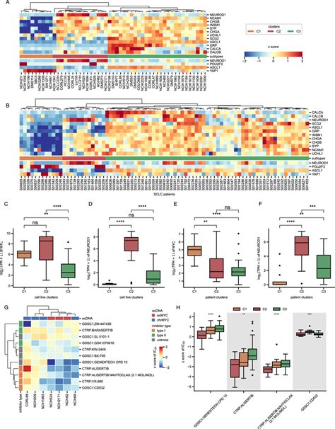 expression patterns of sclc subtypes a unsupervised hierarchical