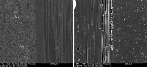 sem pictures of the microstructure of cf ve left and cf elium