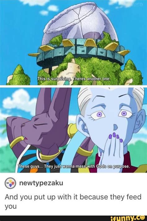 17 Best Images About Beerus On Pinterest Posts Goku And Trunks
