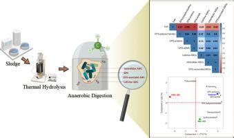 Science Of The Total Environment X Mol