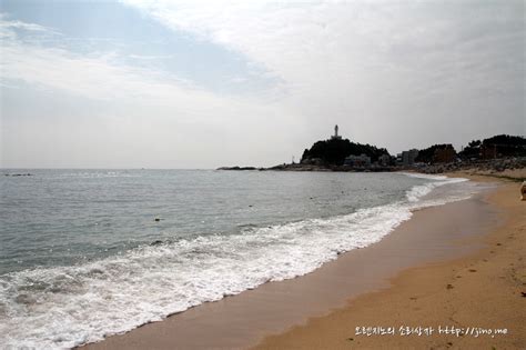 바다는 동해다 고성 자작도 해변