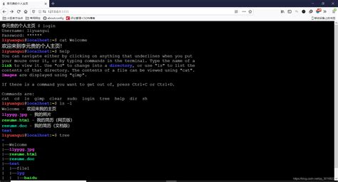 一个炫酷的个人页面（类linux命令行界面）html仿命令行界面 Csdn博客