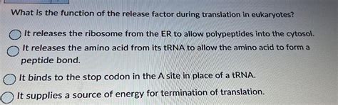 Answered What Is The Function Of The Release Factor During Kunduz