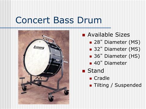 Ppt Percussion 101 Refresher Powerpoint Presentation Free Download