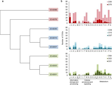 Microbial Community Structure And Dynamics In Thermophilic Composting Viewed Through