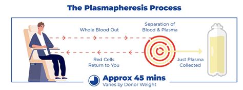 Plasmapheresis Process