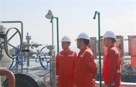 广西液化天然气（lng）项目二期工程第二阶段圆满完成中交验收 国际燃气网