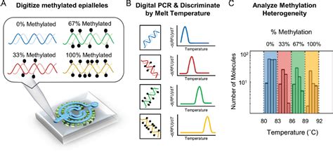 Figure 1 From Multilayer Microfluidic Array For Highly Efficient Sample