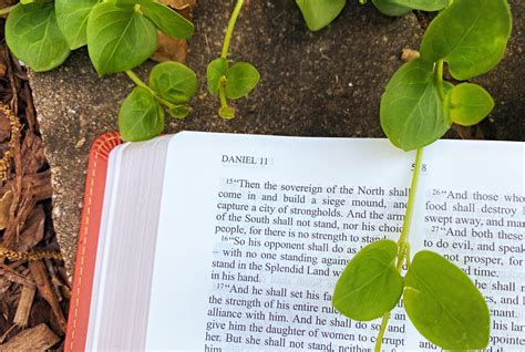 Daniel 7 9 Deep Diving Bible Study Seeking Scripture