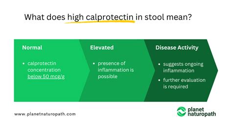 Calprotectin Fecal Test Everything You Need To Know