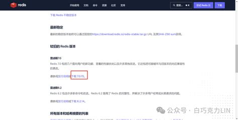 Redis教程Redis入门 极客之音
