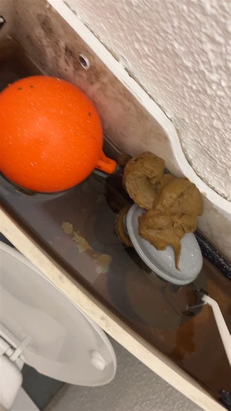 Creamy Upper Decker Public Shit