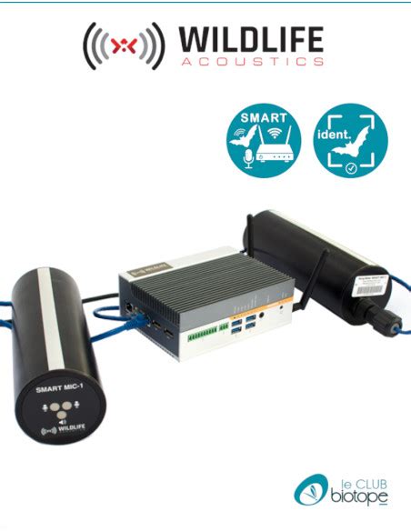 Smart Bat Detection System For Real Time Monitoring And Analysis