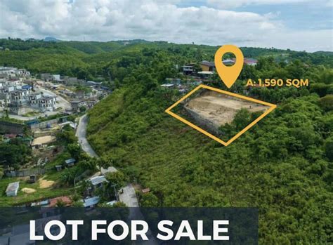 1590 Sqm Residential Lot In Sta Cruz Liloan Cebu Prime For Development Cebu Property Buzz
