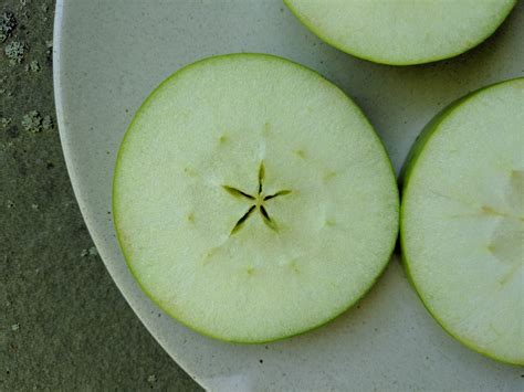 Apples And Five Fold Symmetry How To Speak Machine 📘 Computational
