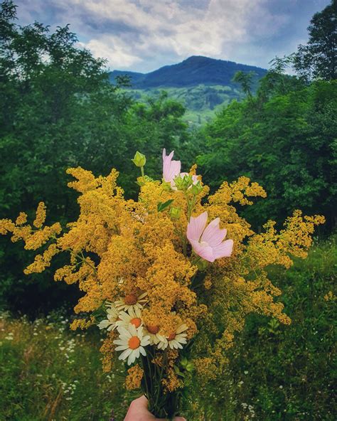 Wild Flower Bouquet Photos Download The Best Free Wild Flower Bouquet