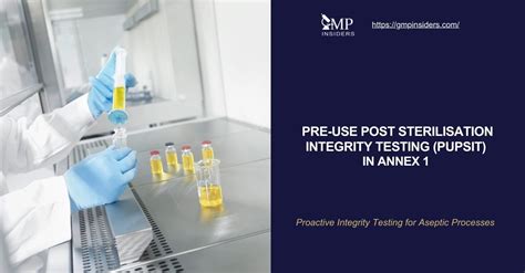 Pre Use Post Sterilisation Integrity Testing Pupsit In Annex 1 Gmp