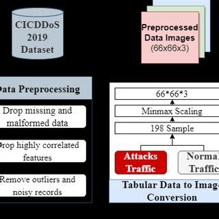 Stage 1 Of The Classification Pipeline CNN Training Download Scientific Diagram