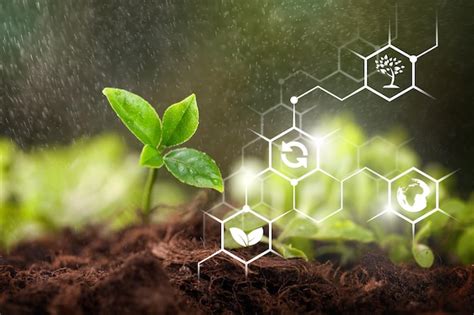 Premium Photo Seedling Growing From Fertile Soil And Biology