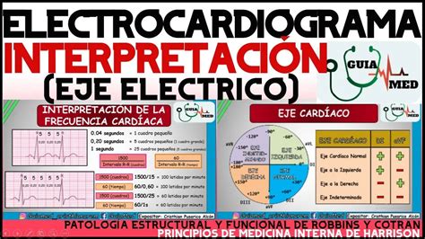 Cómo Interpretar Un Electrocardiograma Para Principiantes Doctor Online