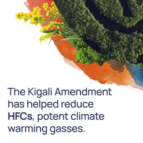 Vienna Convention And Montreal Protocol Ozone Secretariat On Linkedin Montrealprotocol