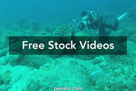 Momandsonsharingbed Videos Download The Best Free 4k Stock Video