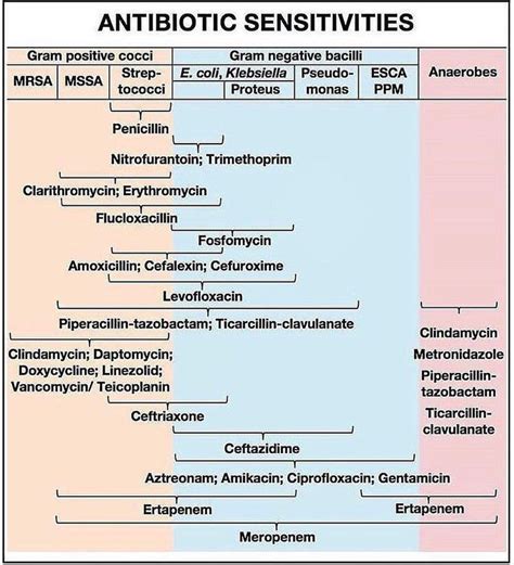 Atypical Coverage Antibiotics
