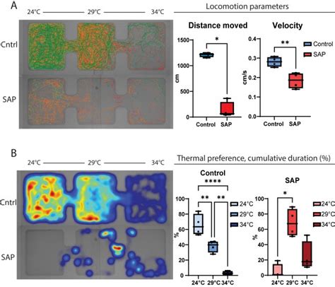 What Is Up With That Gut Using Zebrafish To Model Host Microbe Feed Interactions WUR