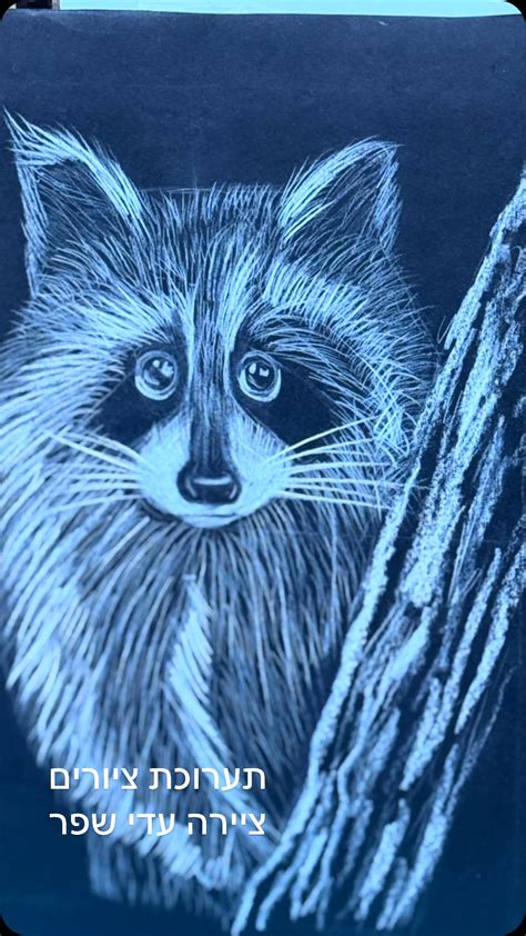 ‎סיגל שפר תכנון ועיצוב סיגל שפר תכנון ועיצוב פנים